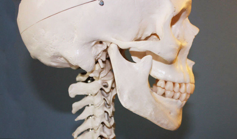 TMJ Jaw Victoria | Temporomandibular Joint Physiotherapy in Victoria BC